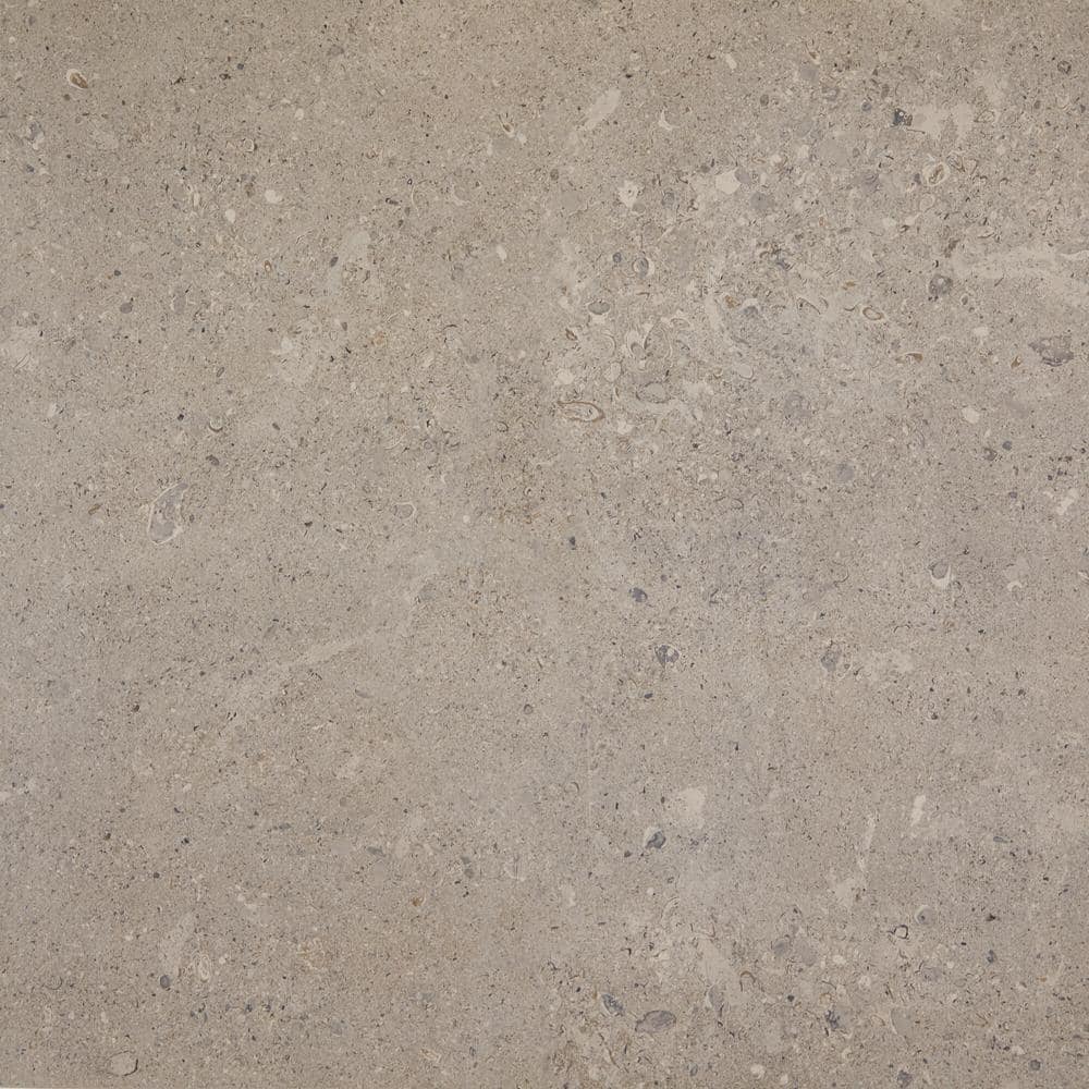 Daltile Dignitary Superior Taupe 24 in. x 24 in. Color Body Porcelain ...