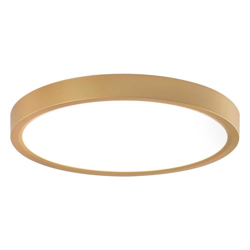 ADSENSTY 9.06 in. 1-Light Gold Modern Round LED Flush Mount Ceiling ...