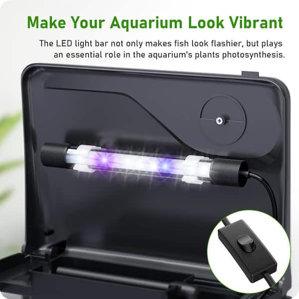 SenQWFa 2 Gal. Modern Glass Betta Fish Tank with Filter and LED Light ...