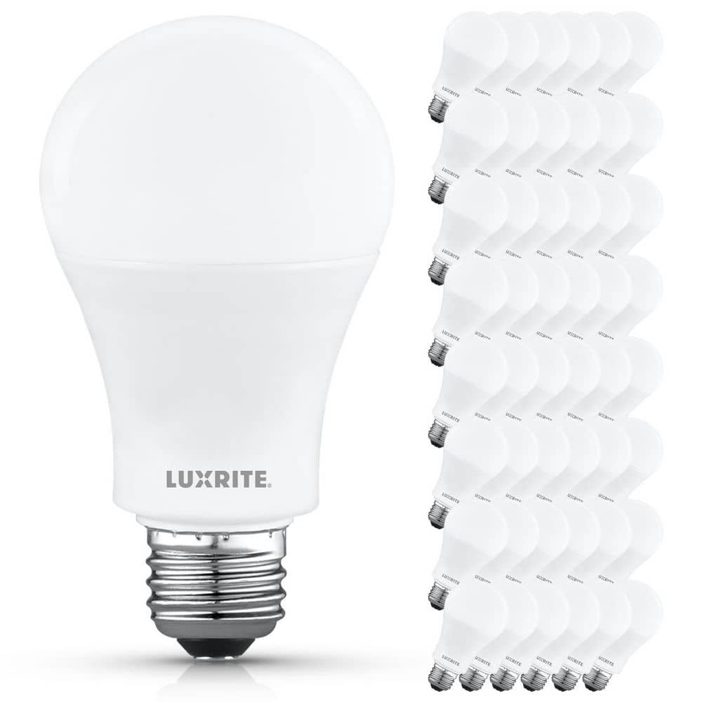 LUXRITE 100-Watt Equivalent A19 LED Light Bulb 5000K Bright White 12 ...