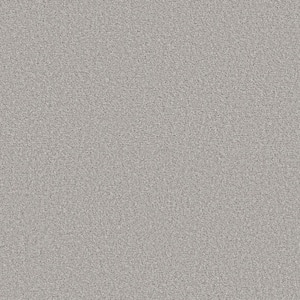 Home Decorators Collection 8 in. x 8 in. Texture Carpet Sample ...