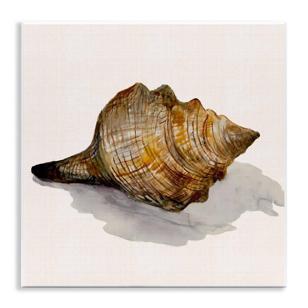Stupell Industries Conch Shell on Beige by Jacob Q Unframed Coastal ...