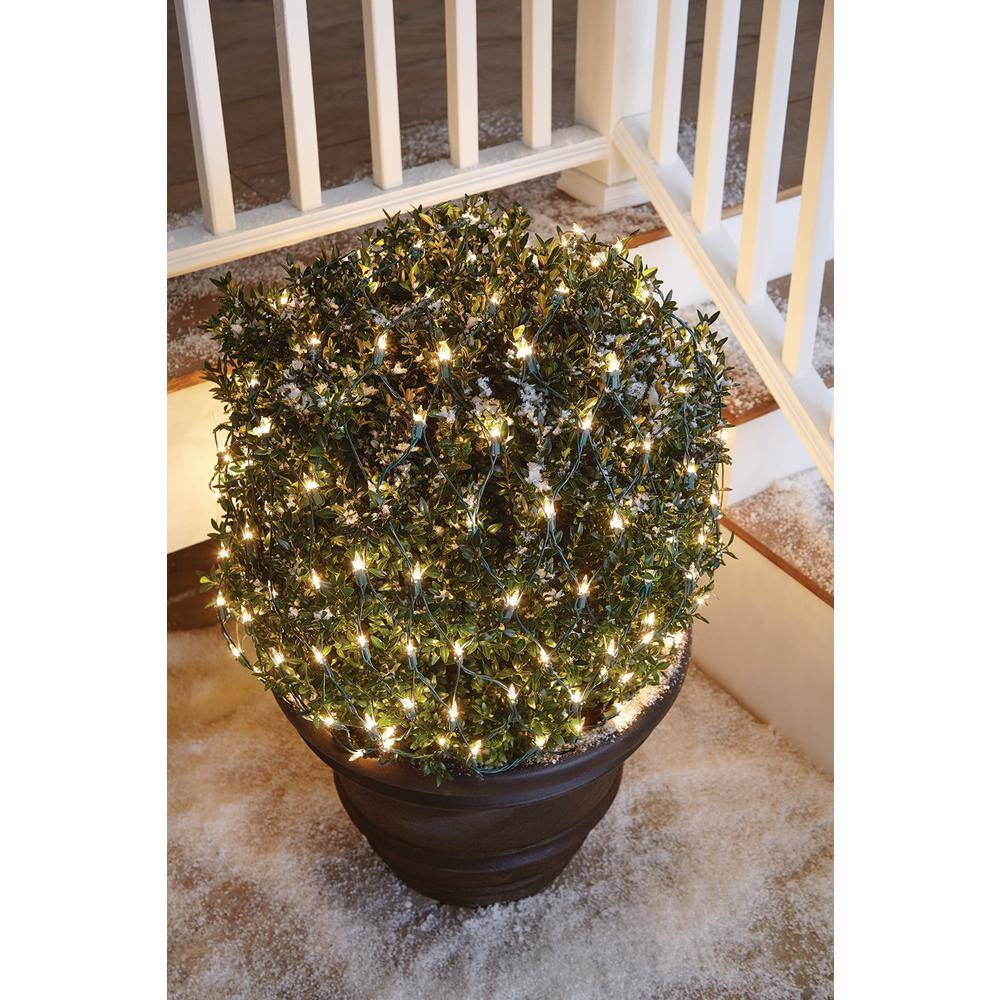 48 in. x 72 in. 300-Light Incandescent Clear-Color Net Light Set ...