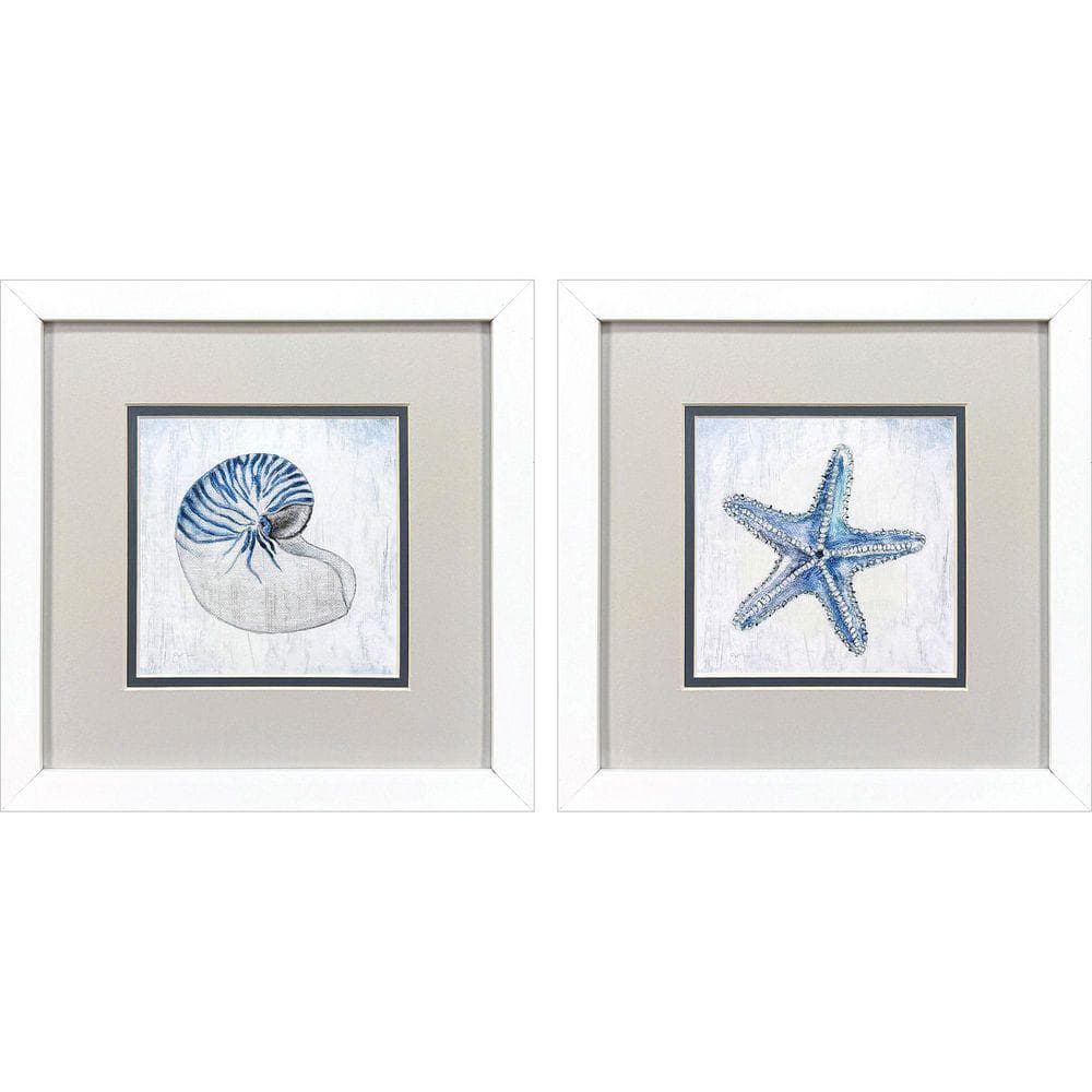 Paragon Tava 2 Piece Framed Animal Art Print 11 in. x 11 in. 48773 ...