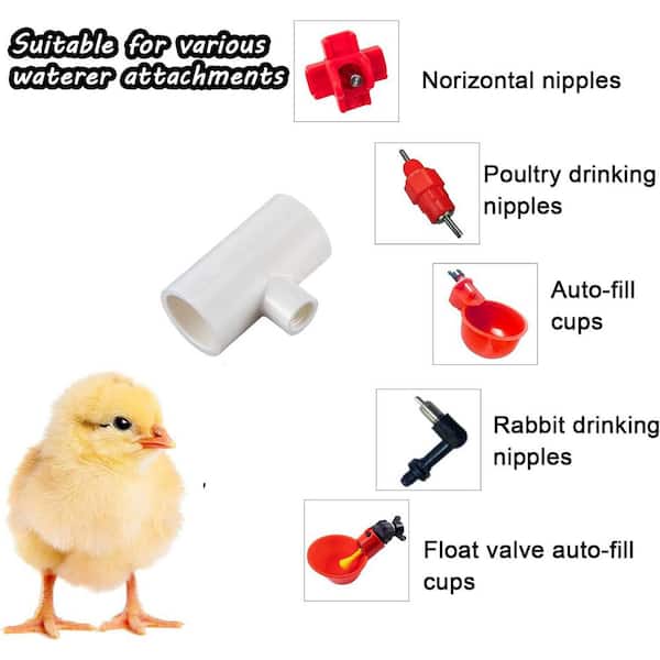 8 Cup Chicken Waterer With PVC Pipe Complete Automatic Chicken Waterer ...