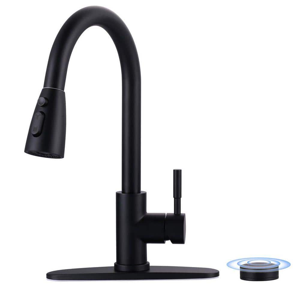 ALEASHA 15.6 in. Single Handle Pull Down Kitchen Faucet with Movable ...