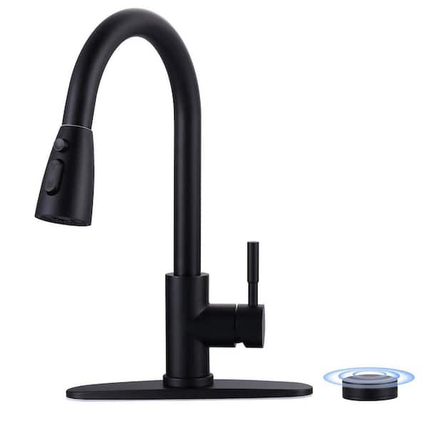ALEASHA 15.6 in. Single Handle Pull Down Kitchen Faucet with Movable ...
