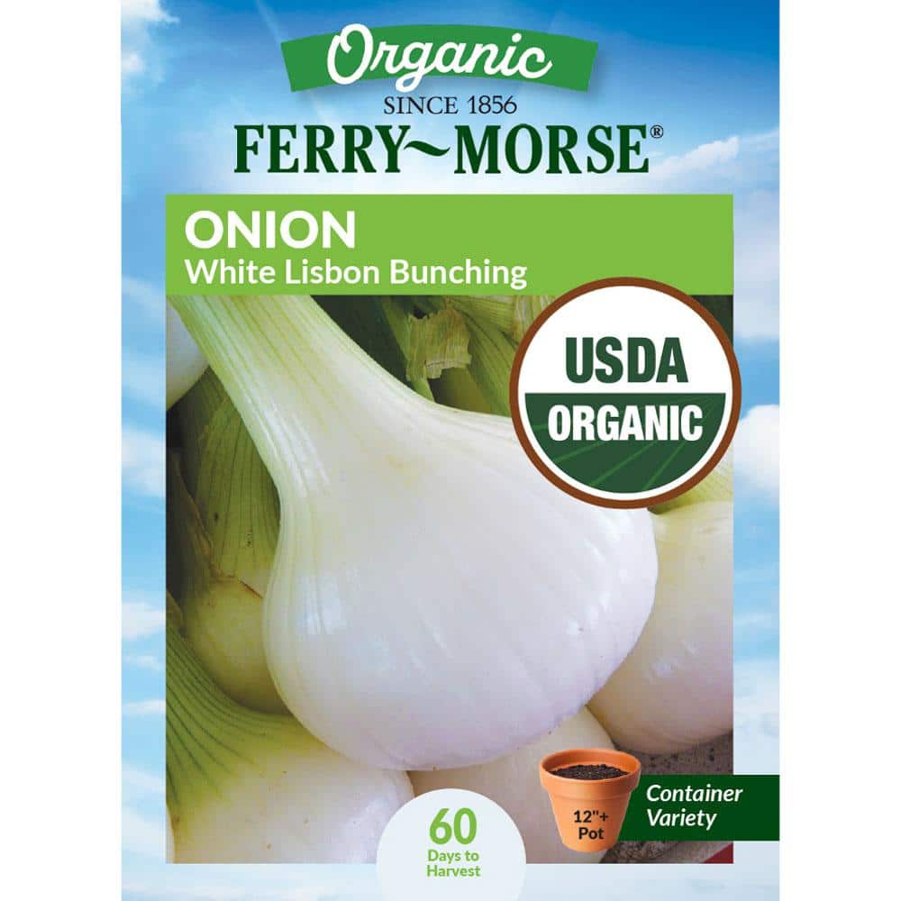 Ferry-Morse Organic Onion White Lisbon Bunching Vegetable Seeds 9557 ...