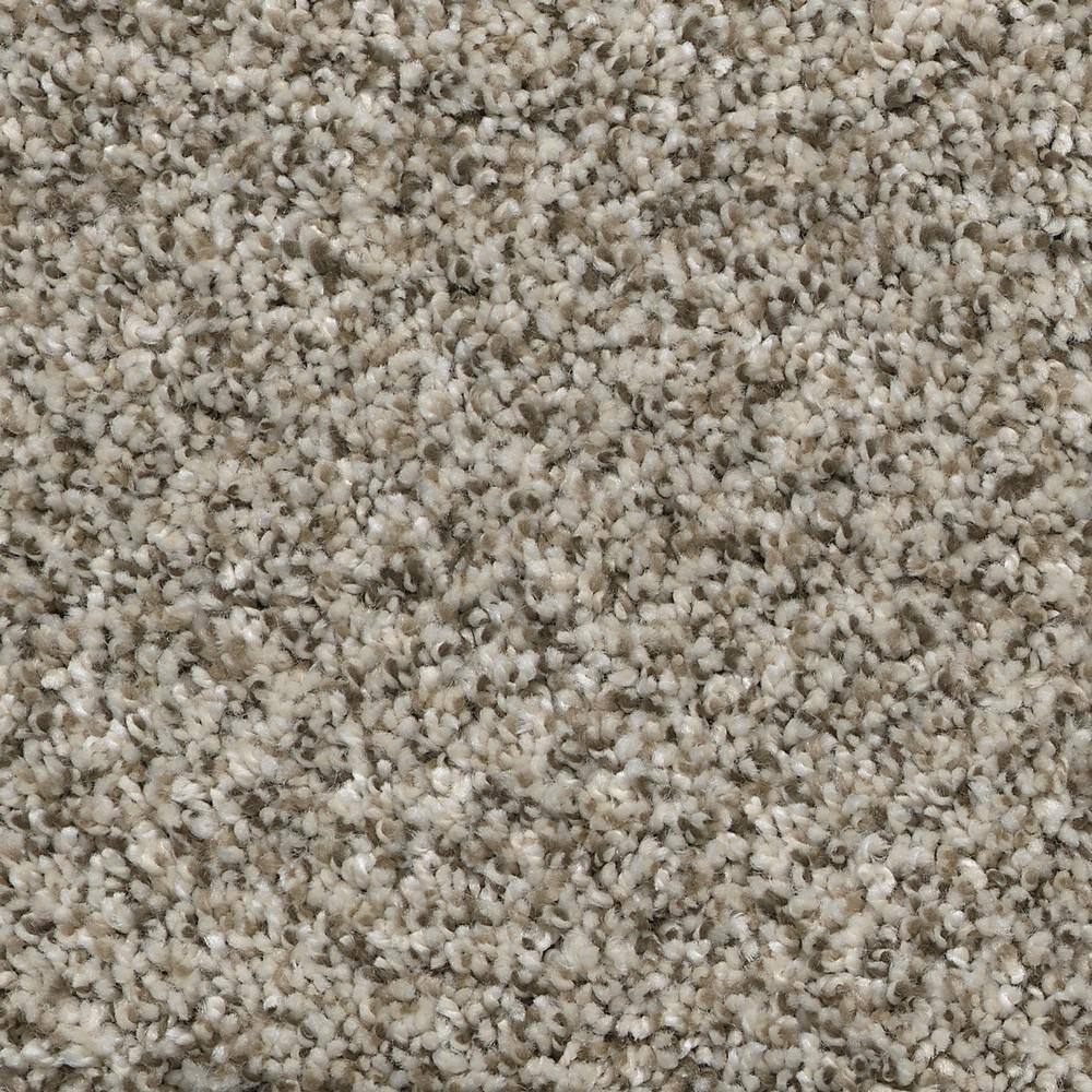 Home Decorators Collection 8 in. x 8 in. Texture Carpet Sample - Trendy ...