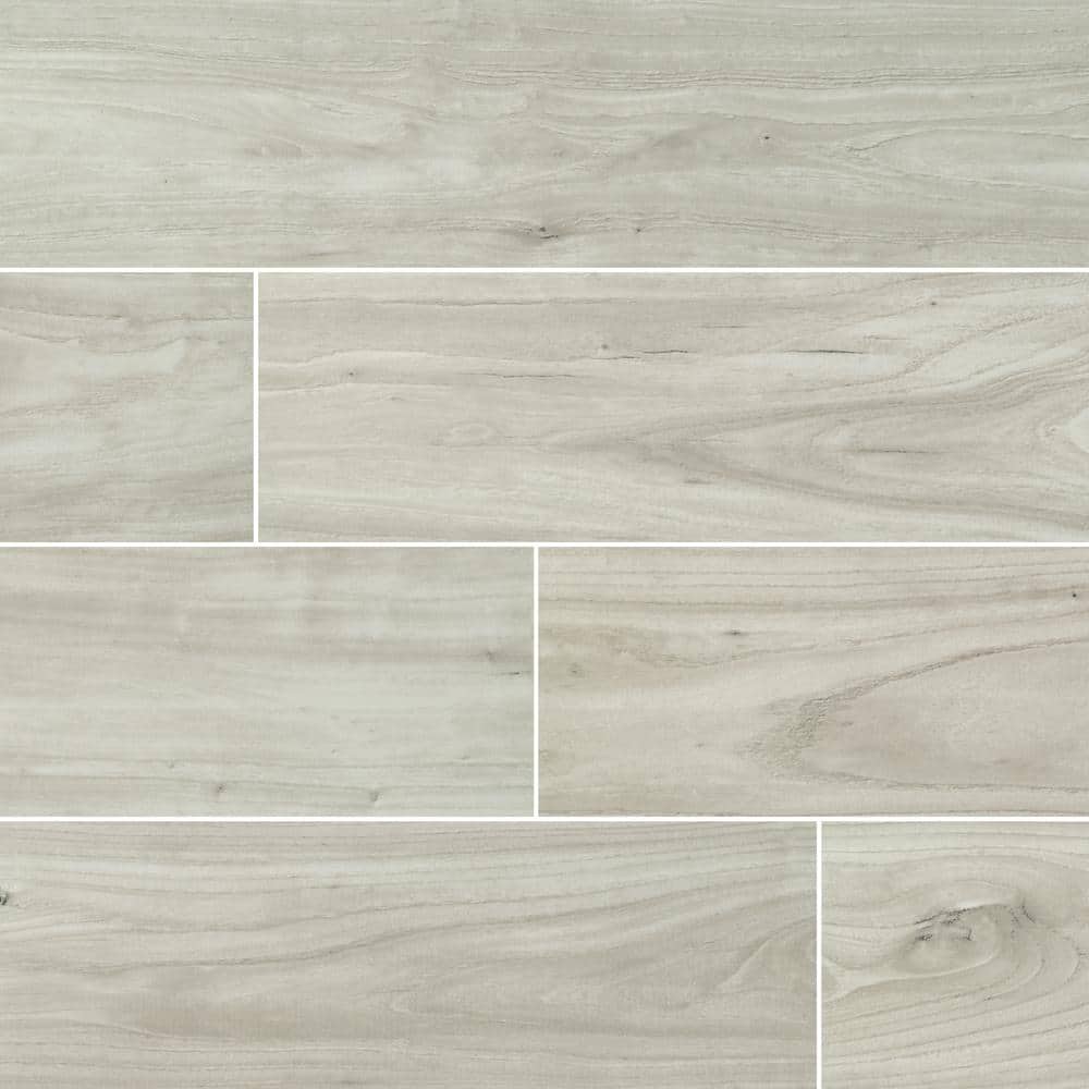 MSI Alina Ice 4 in. x 4 in. Polished Porcelain Tile Sample (0.11 sq. ft ...