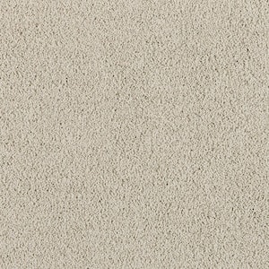 Home Decorators Collection 8 in. x 8 in. Texture Carpet Sample ...