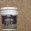 BEHR PREMIUM 1 Gal. #GG-13 Pebble Sunstone Decorative Flat Interior ...