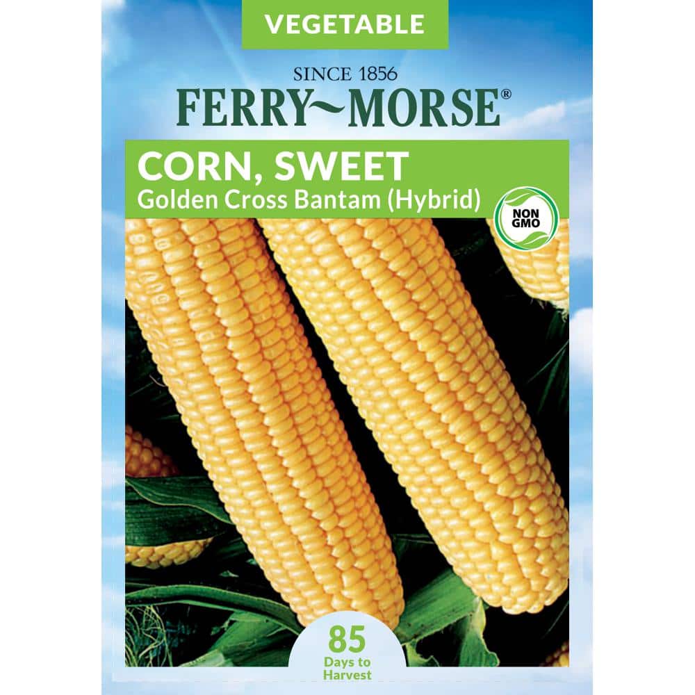 Ferry-Morse Sweet Corn Golden Cross Bantam Hybrid Fruit Seed 0515 - The ...