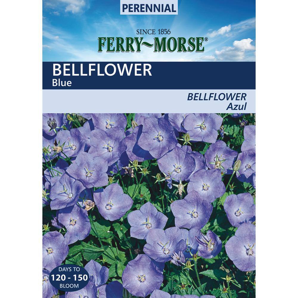 Ferry-Morse Flower Bellflower Blue Seed 2268 - The Home Depot