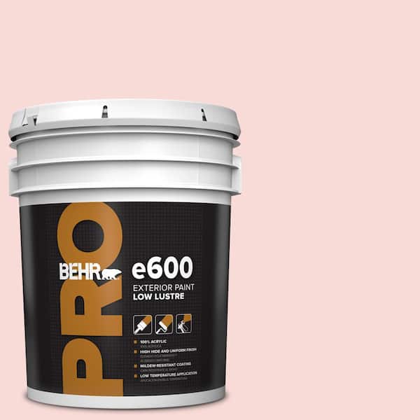 BEHR PRO 5 gal. #160A-2 Pale Shrimp Low Luster Exterior Paint PR62005 ...