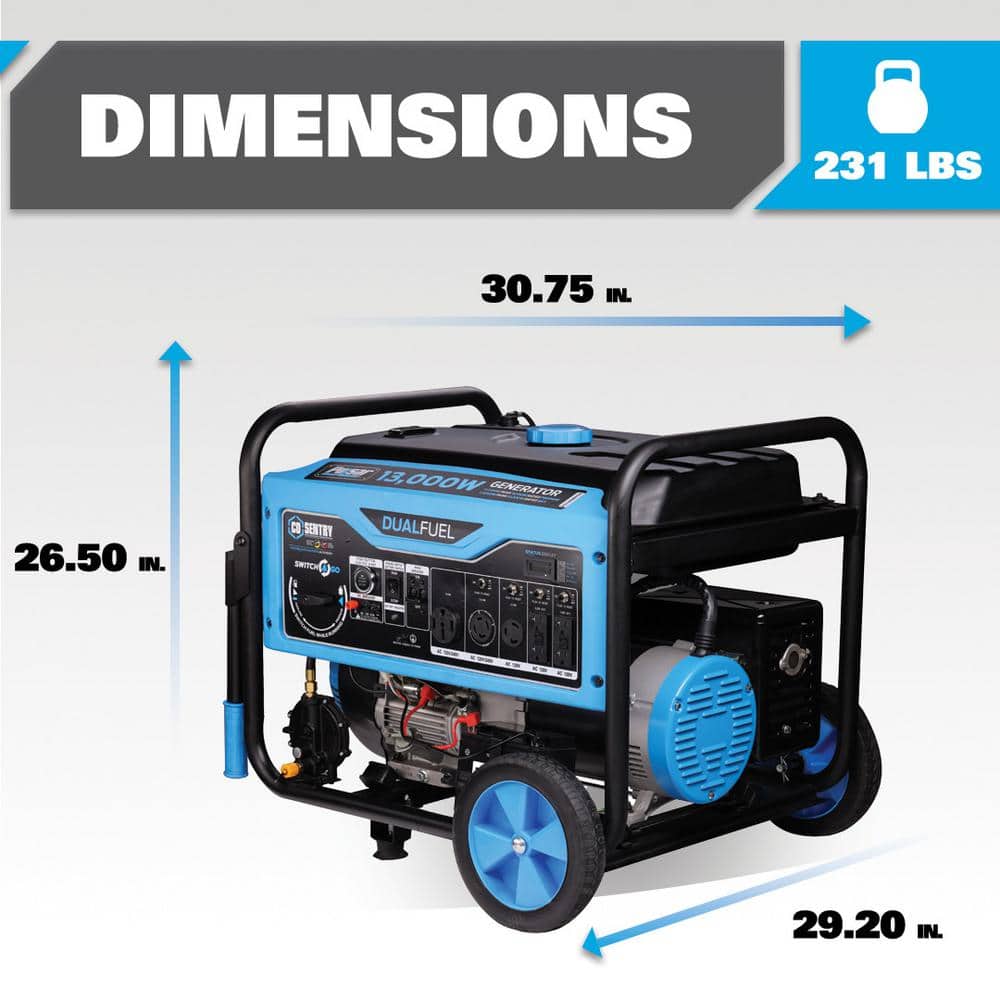 Pulsar 13,000/10,000 -Watt Dual-Fuel Gasoline and Propane with Push to ...