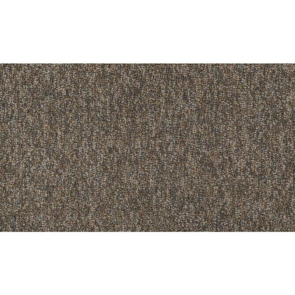 TrafficMaster 8 in. x 8 in. Pattern Loop Carpet Sample - Lanwick ...