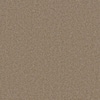 TrafficMaster Added Value - Pamper - Beige 24 oz. SD Polyester Texture Installed Carpet H8024 ...