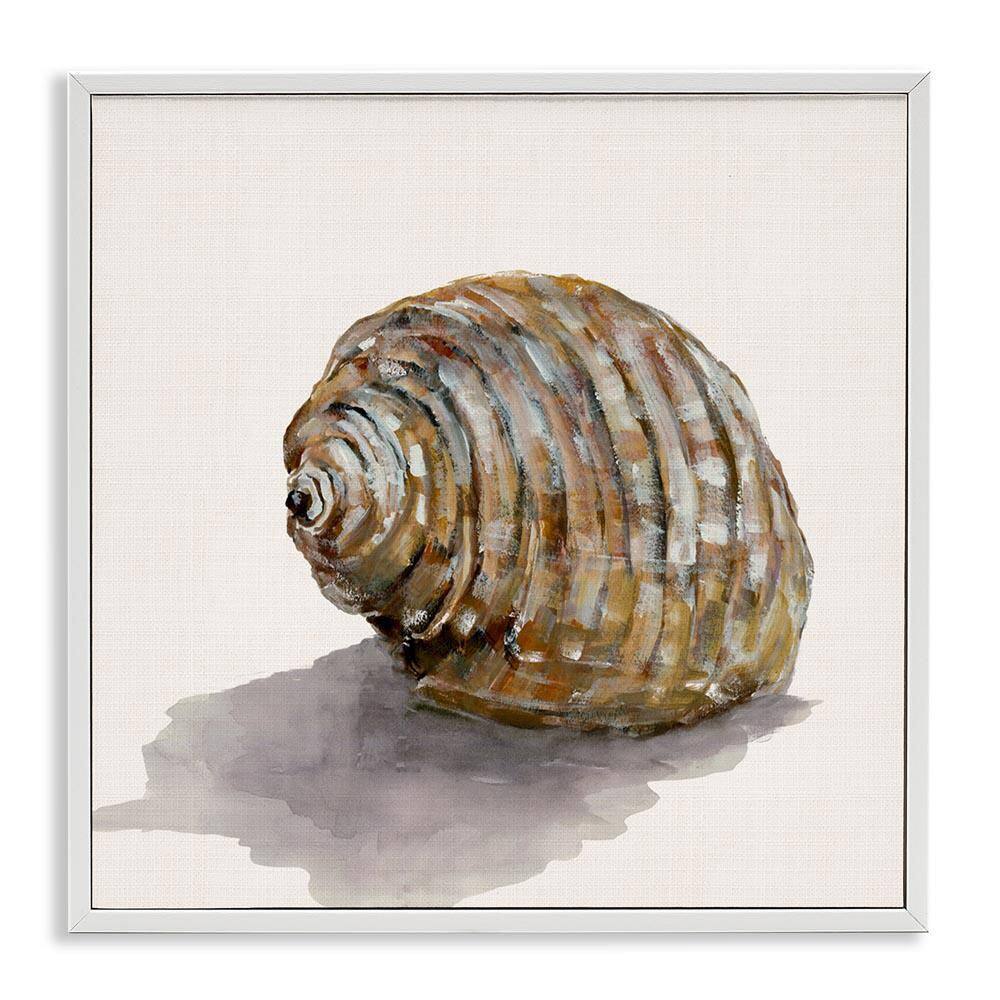 Stupell Industries Curved Seashell on Beige by Jacob Q White Framed Coastal Giclee Art Print 24 ...