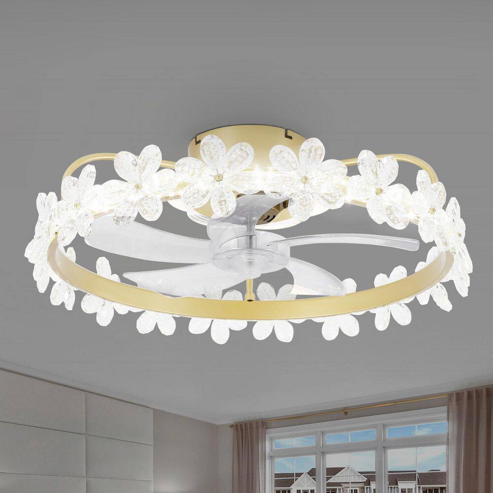 Oaks Aura 21in.LED Bladeless Smart App Remote Control Low Profile Daisy ...