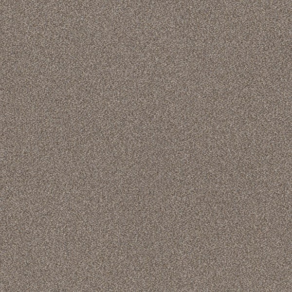 Home Decorators Collection 8 in x 8 in. Texture Carpet Sample ...
