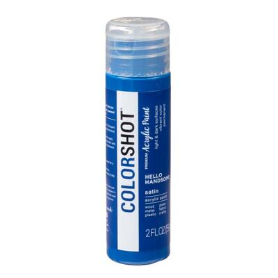COLORSHOT 10 oz. Gloss Hello Handsome Royal Blue General Purpose ...