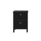 ACHIM EZ Home Solutions 2-Drawer Black Foldable Night Stand FFR101BK01
