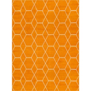 StyleWell Trellis Frieze Orange/Ivory 8 ft. x 11 ft. Geometric Area Rug ...