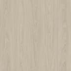Dekorman Take Home Sample - 9 in. W x 12 in. L White Atlantic Oak ...