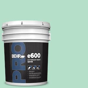 BEHR PRO 5 gal. #480C-3 Aqua Bay Low Luster Exterior Paint PR62005 ...