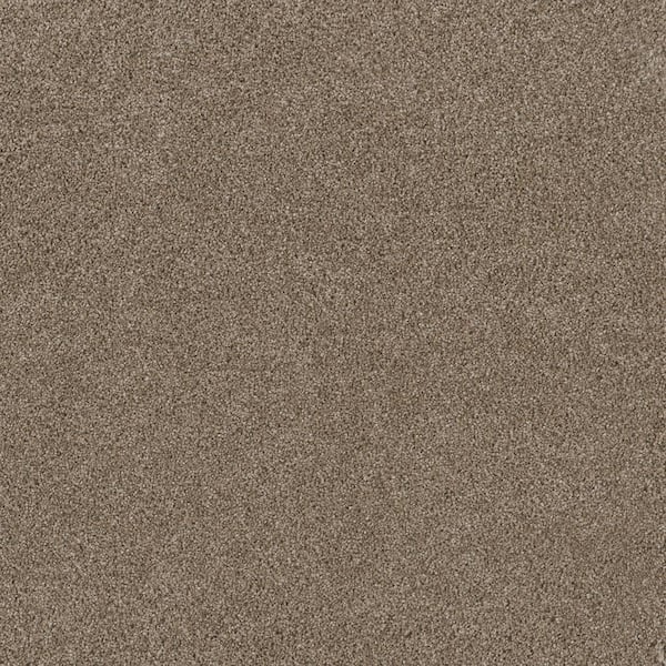 Reviews for Home Decorators Collection Delight I - Happiness - Beige 48 ...