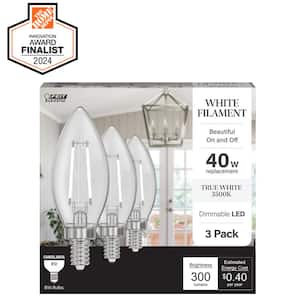 Have a question about Feit Electric 60-Watt Equivalent B10 E12 Candelabra Dim White Filament ...
