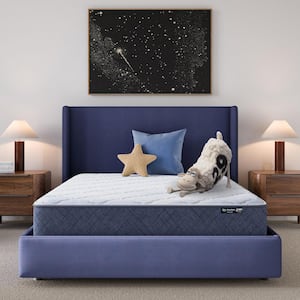 Serta Five Star Mattress Sleep to Go Queen Medium 10 in. Mattress in a ...