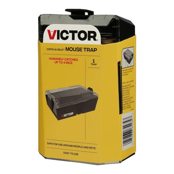 Victor Multiple Catch Mouse Trap