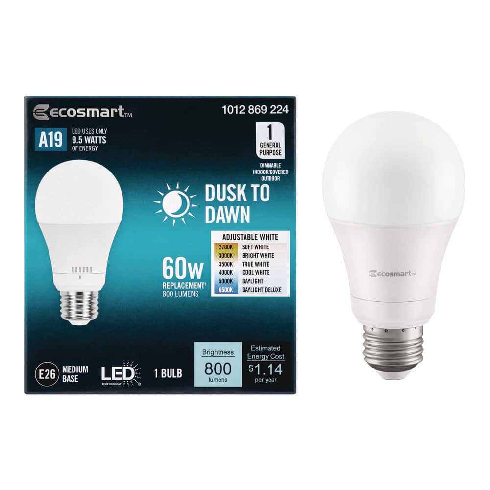 EcoSmart 60-Watt Equivalent A19 Dimmable Dusk to Dawn LED Light Bulb ...