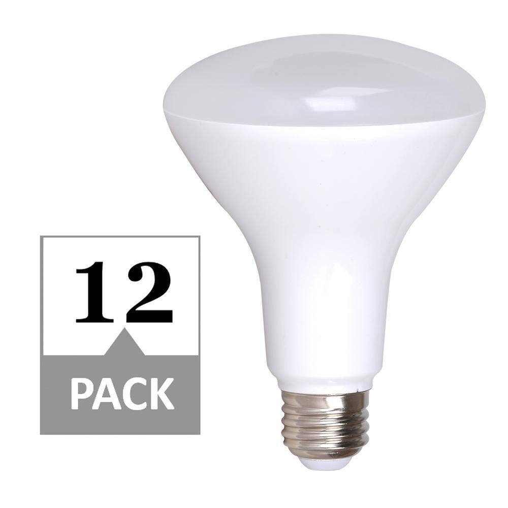 Simply Conserve 100-Watt Equivalent R40 Dimmable Warm White 25000-Hour ...