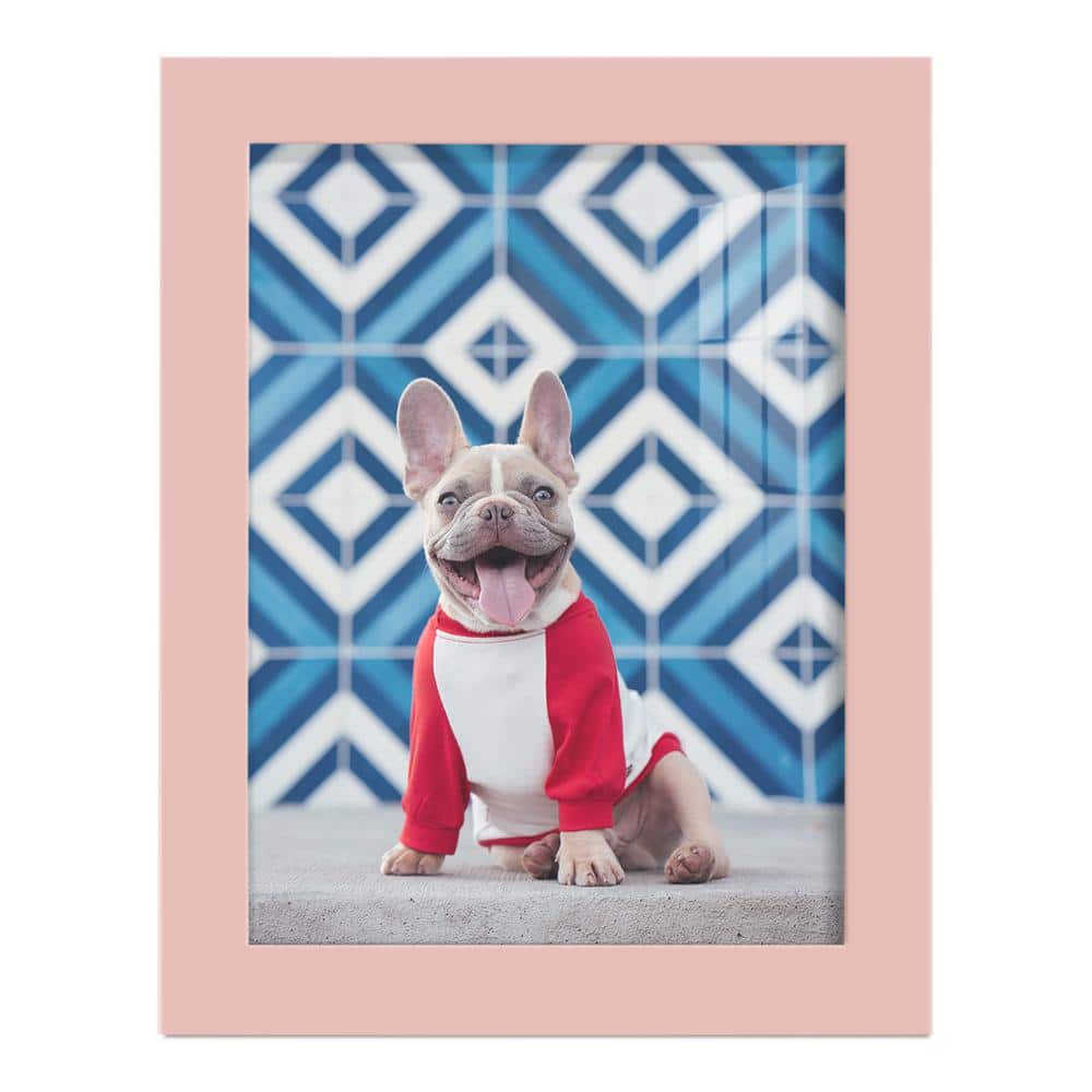 Wexford Home Modern 6 in. x 8 in. Pink Picture Frame WF012E - The Home ...