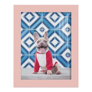 Wexford Home Modern 6 in. x 8 in. Hot Pink Picture Frame WF013E - The ...