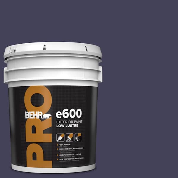 BEHR PRO 5 gal. #PPU16-20 Renaissance Low Luster Exterior Paint PR62305 ...
