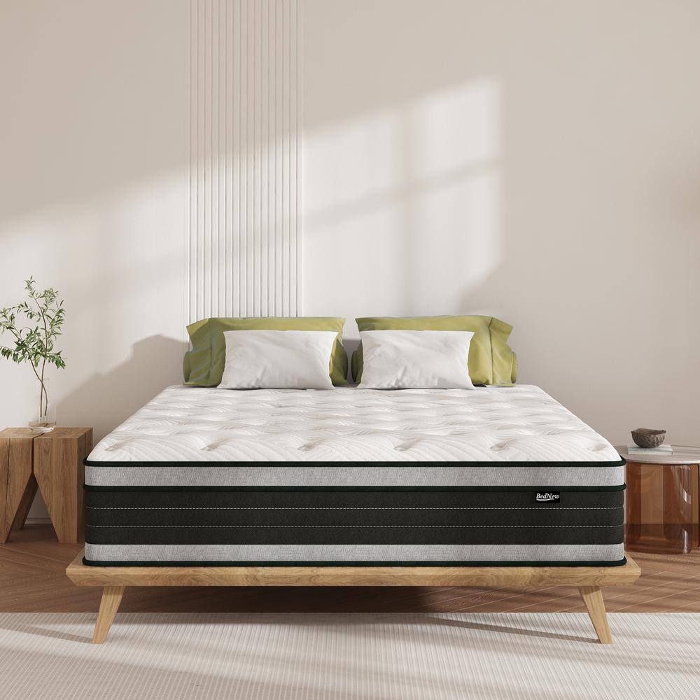 BedNew Modern Series Queen Medium Firm Hybrid Mattress 12 in. Bed in a ...