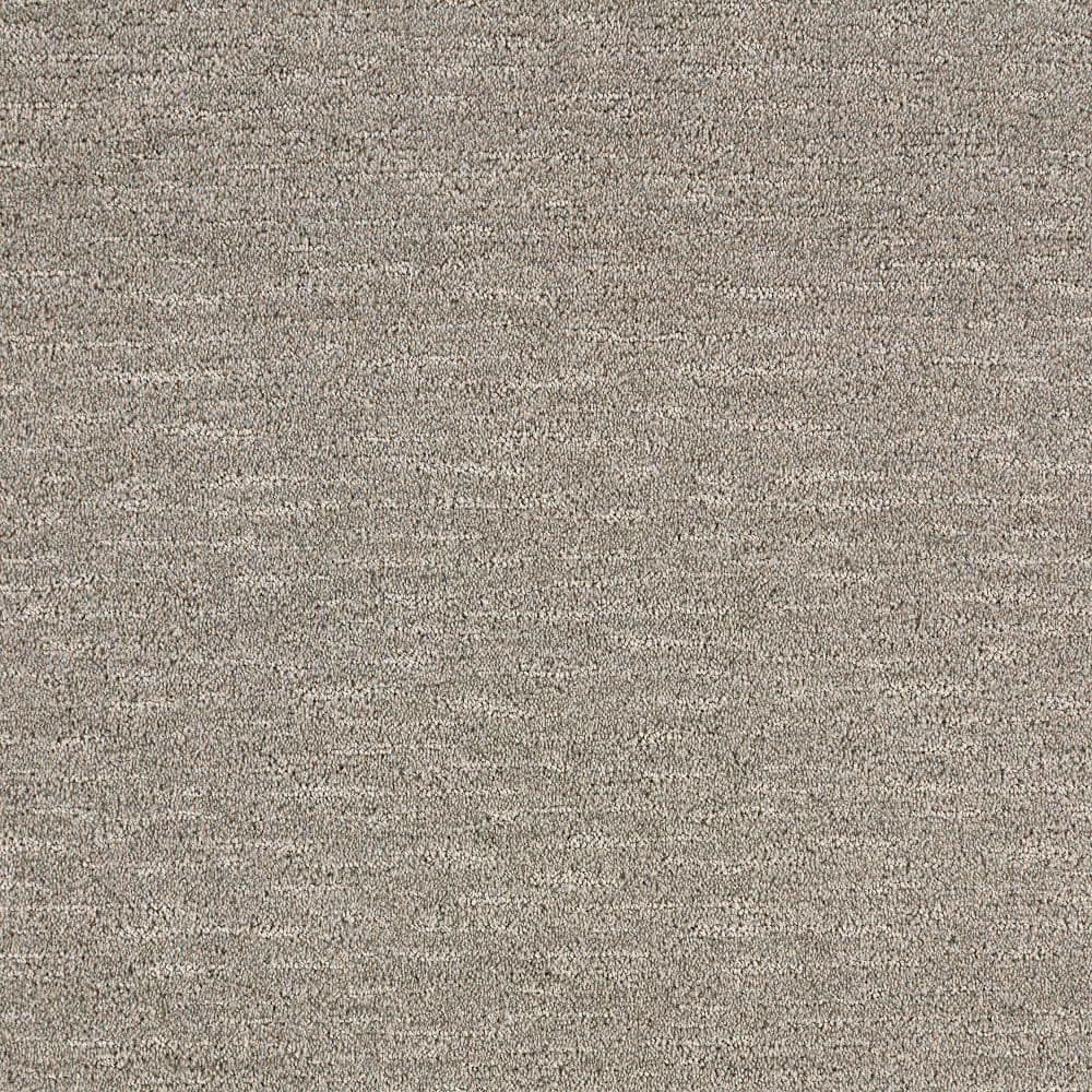 Lifeproof with Petproof Technology Allison Cove Northeast Brown 39 oz ...