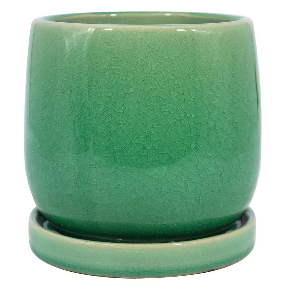 Trendspot 6 in. Mint Oceana Ceramic Planter ECR01706S-06G - The Home Depot