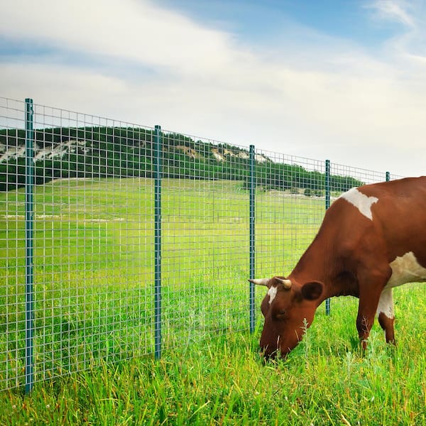 VEVOR 4 ft. Fence Post, T-Post Heavy-Duty Metal Fence Posts, Sturdy ...