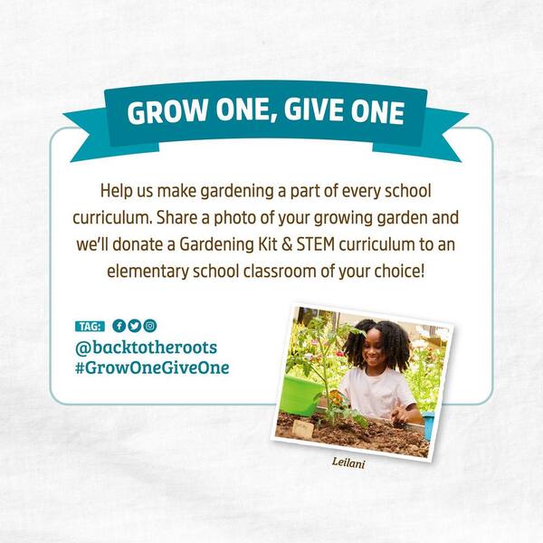 Back to the Roots Organic Bulk Bark Bagged Mulch Pallet (30 1 cu. ft ...