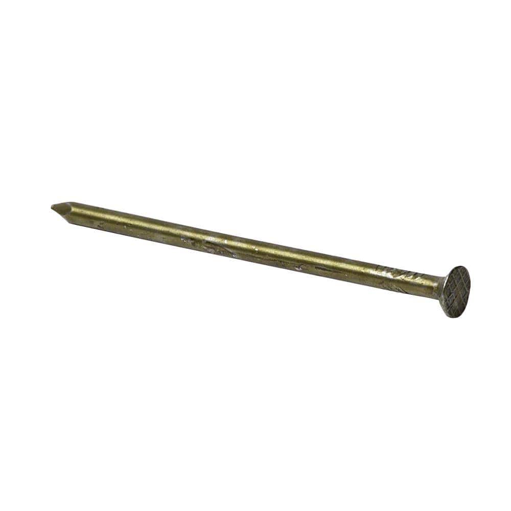 PrimeSource #9 x 3 in. 10-Penny Coated Steel Common Nail (5 lb.-Pack ...