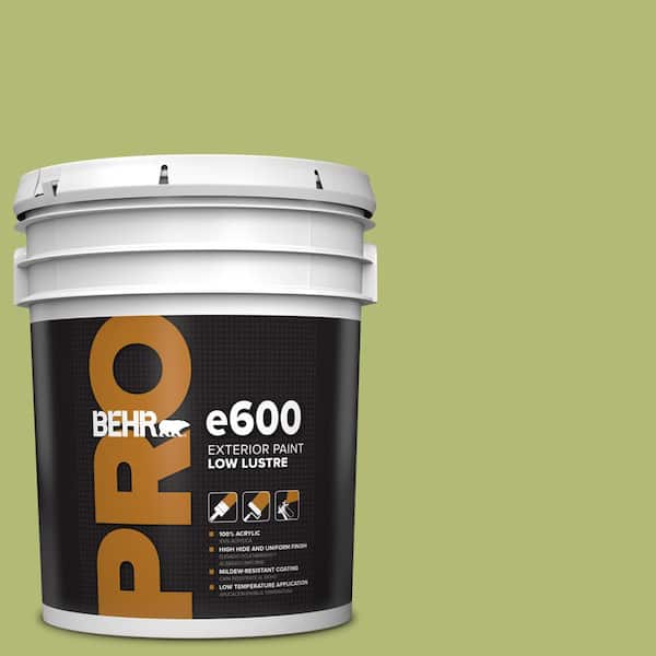 BEHR PRO 5 gal. #410D-4 Asparagus Low Luster Exterior Paint PR62305 ...