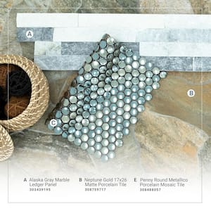 MSI Take Home Tile Sample - Neptune Gold Porcelain 4 in. x 4 in. Mixed ...