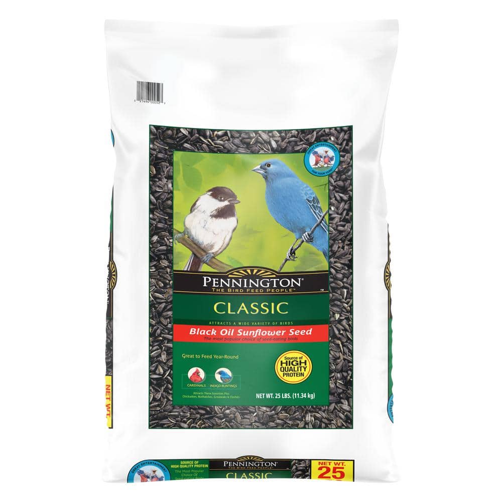 Pennington 25 lbs. Black Oil Sunflower Bird Seed Food 515624 - The Home ...