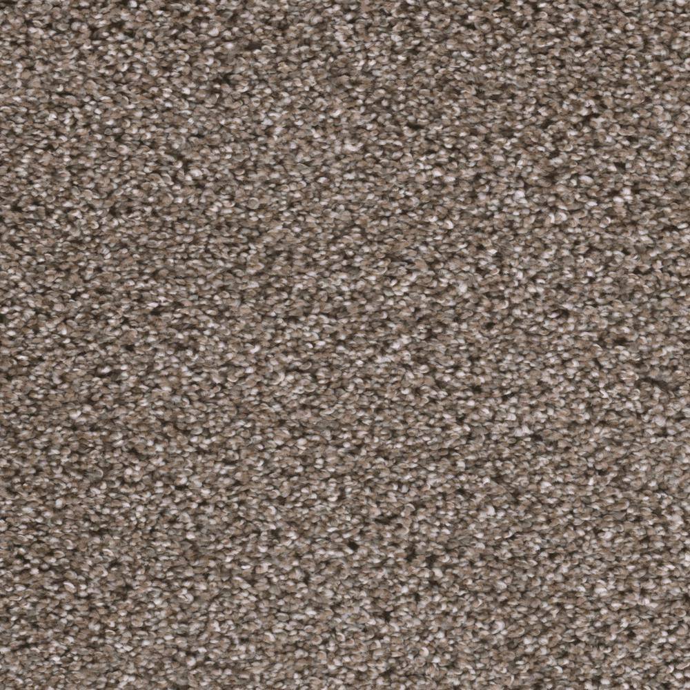 Home Decorators Collection 8 in. x 8 in. Texture Carpet Sample ...