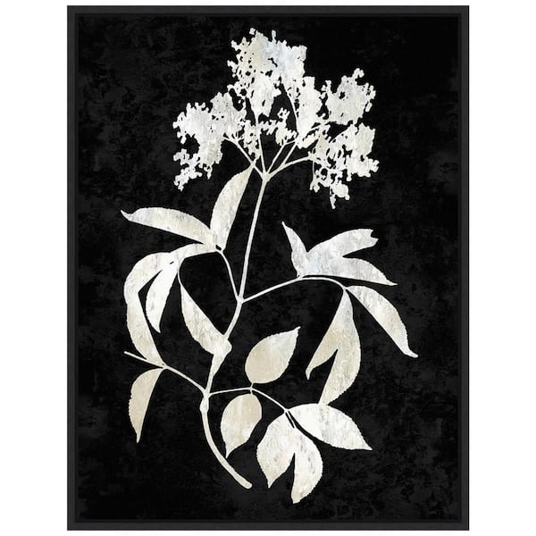 Amanti Art "Plant Life White on Black V" by Danielle Carson 1-Piece ...